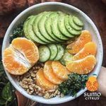 TOP PICK OF THE WEEK: Sumo Citrus, A Hefty Mandarin - The Nibble ...